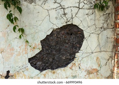 Emu Poo Stock Photo 1265035129 | Shutterstock