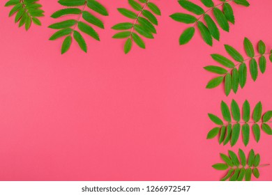 Creative Flat Lay Top View Pattern Stock Photo 1160301016 | Shutterstock