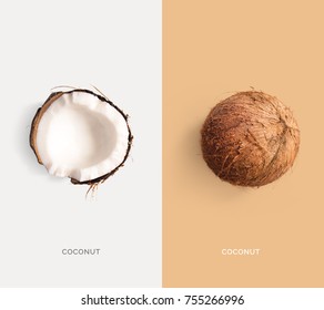 Creative Layout Made Coconut Flat Lay Stock Photo 755266996 | Shutterstock