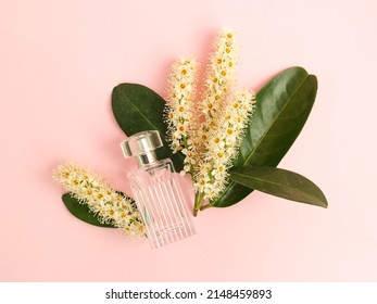 Creative Layout Made Elegant Perfume Bottle Stock Photo 2148459893 ...