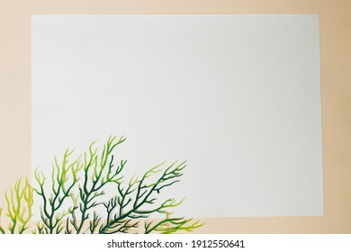 Creative Layout Sheet Paper Algae On Stock Photo 1912550641 | Shutterstock