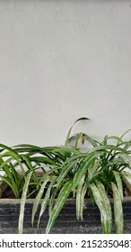 Creative Potrait Layout Empty Space Made Stock Photo 2152350487 ...