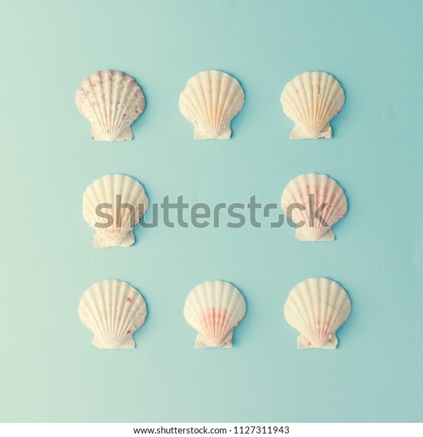 Creative Seashell Pattern On Pastel Blue Stock Photo (Edit Now) 1127311943