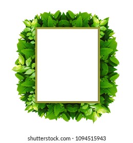 Creative Square Nature Layout Space Made Stock Photo 1094515943 ...