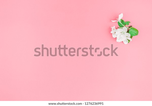 Creative Top View Apple Tree Blooming Stock Photo 1276236991 | Shutterstock