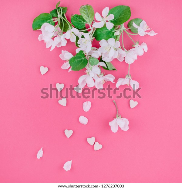 Creative Top View Apple Tree Blooming Stock Photo 1276237003 | Shutterstock
