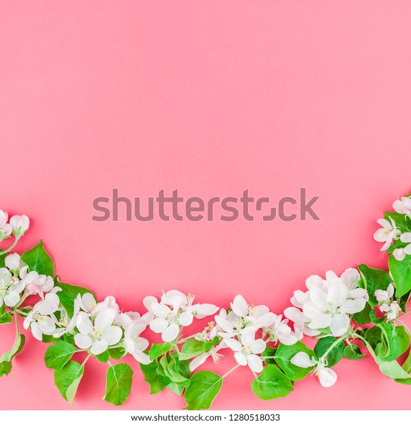Creative Top View Apple Tree Blooming Stock Photo 1280518033 | Shutterstock