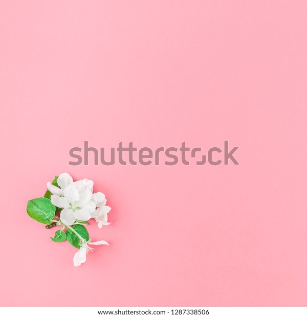 Creative Top View Apple Tree Blooming Stock Photo 1287338506 | Shutterstock