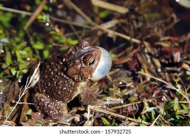 Stock Photo and Image Portfolio by m. uptegrove | Shutterstock