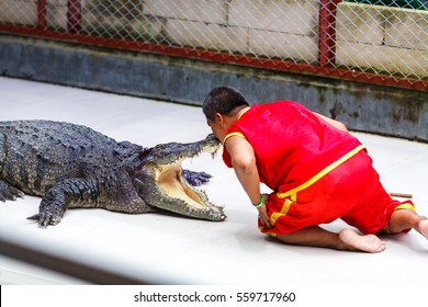101 Crocodile Footprint Stock Photos, Images & Photography | Shutterstock