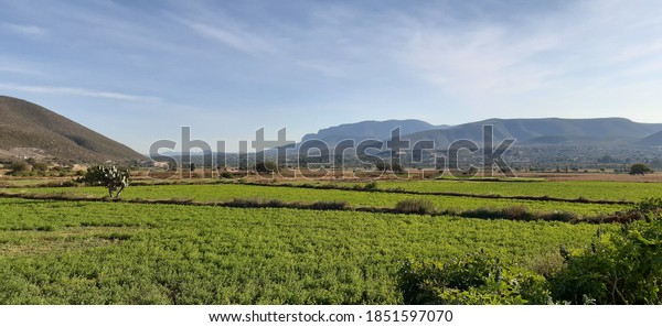 Crop Landscapes On Plot Stock Photo 1851597070 | Shutterstock
