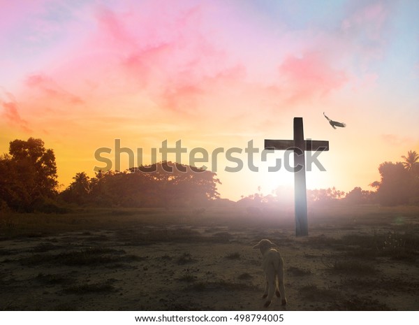 Cross Stock Photo 498794005 | Shutterstock