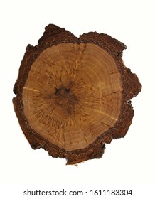Cross Section Birch Trees Stock Photo (Edit Now) 1611183277