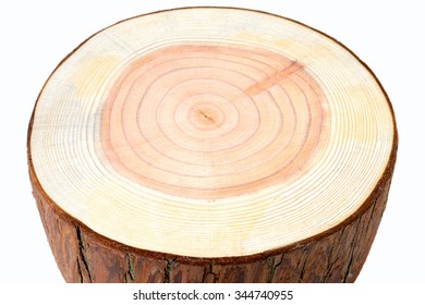 Cross Section Cedar Tree Stock Photo (Edit Now) 344740955