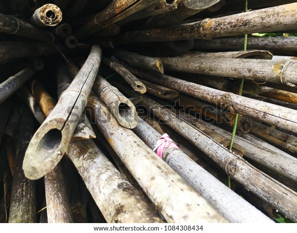 Cross Section Cutting Bamboo Texture Background Stock Photo 1084308434 ...