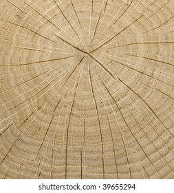 164 Wood crosssection Images, Stock Photos & Vectors | Shutterstock