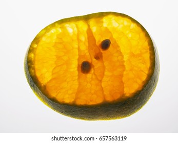 Cross Section Orange Stock Photo 657563119 | Shutterstock