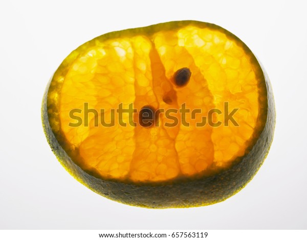 Cross Section Orange Stock Photo 657563119 | Shutterstock