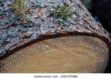 3,037 Pine tar Images, Stock Photos & Vectors | Shutterstock