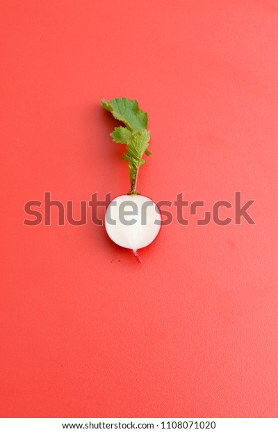 Cross Section Radish Stock Photo 1108071020 | Shutterstock
