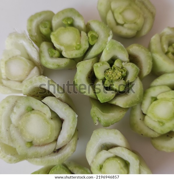Cross Section Spinach Stem Showing Flower Stock Photo 2196946857 ...