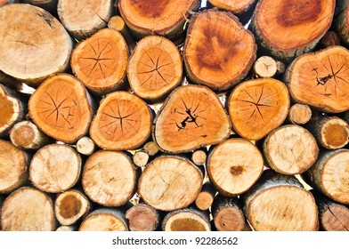 39,681 Cross cut timber Images, Stock Photos & Vectors | Shutterstock