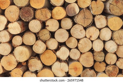351,418 Timber logs Images, Stock Photos & Vectors | Shutterstock