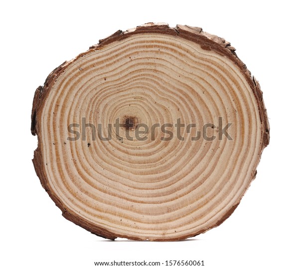 39,956 Trunk Cross Section Images, Stock Photos & Vectors | Shutterstock