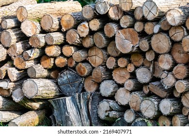 79,000 Trunk construction Images, Stock Photos & Vectors | Shutterstock