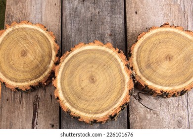 Tree Stump Round Cut Annual Rings Stock Photo 226102741 | Shutterstock