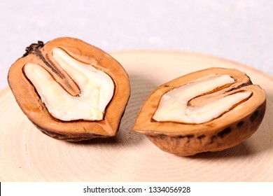 Cross Section Walnut Stock Photo 1334056928 | Shutterstock