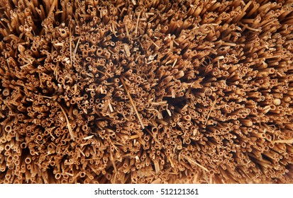 Cross Section Yellow Straw Bundle Texture Stock Photo 512121361 ...