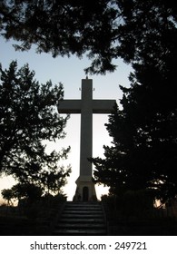 Cross Trees Stock Photo 249721 | Shutterstock