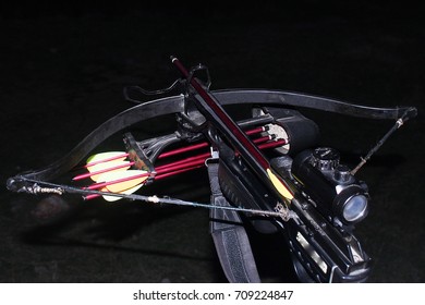 59 Man aiming crossbow targets summer forest Images, Stock Photos ...