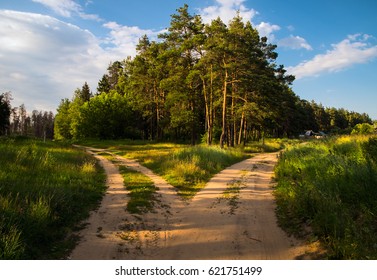 7,548 Crossroads forest Images, Stock Photos & Vectors | Shutterstock
