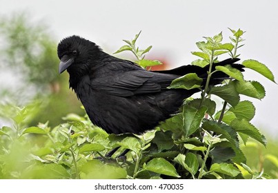 Stock Photo and Image Portfolio by rachelc | Shutterstock