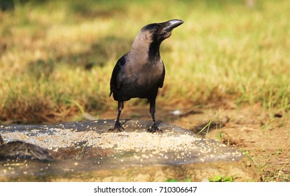 Stock Photo and Image Portfolio by Dharmsoft | Shutterstock