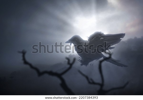 Crow Flying Sky Dramatic Scene Background Stock Photo 2207384393 ...