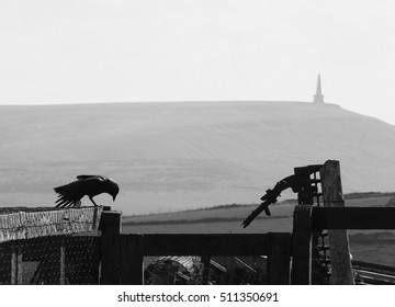 293 Crow looking down Images, Stock Photos & Vectors | Shutterstock