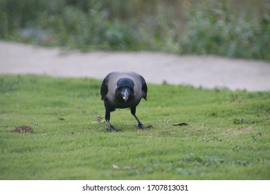Stock Photo and Image Portfolio by Yadab86 | Shutterstock