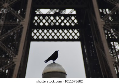 Crow Tower Stock Photo 1011573682 | Shutterstock