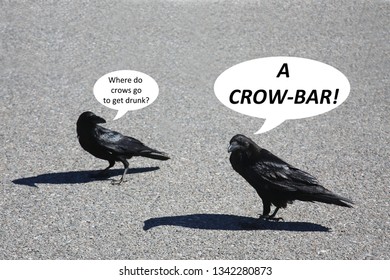 636 Talking crow Images, Stock Photos & Vectors | Shutterstock