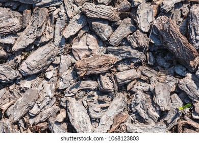 Crushed Tree Bark Texture Background Closeup Stock Photo 1068123803 ...