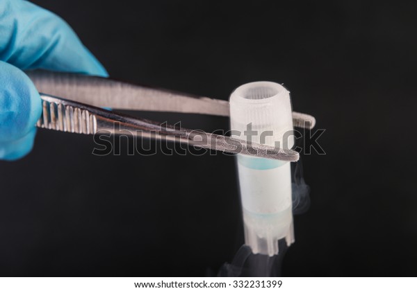 Cryosample Longterm Storage Sperm Stem Cells Stock Photo 332231399 ...
