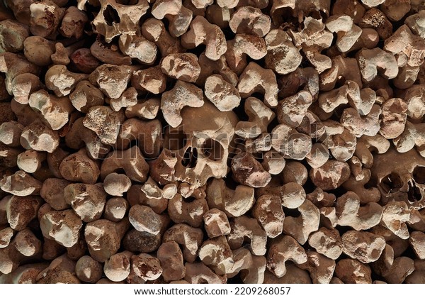 Crypt Wall Made Human Skulls Bones Stock Photo 2209268057 | Shutterstock