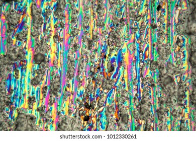 51 Slide Under Compound Microscope Images, Stock Photos & Vectors ...
