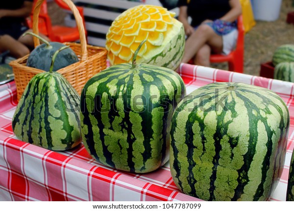 1,362 Triangular watermelon 이미지, 스톡 사진 및 벡터 | Shutterstock