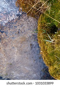 Culvert Grass Stock Photo 1031033899 | Shutterstock