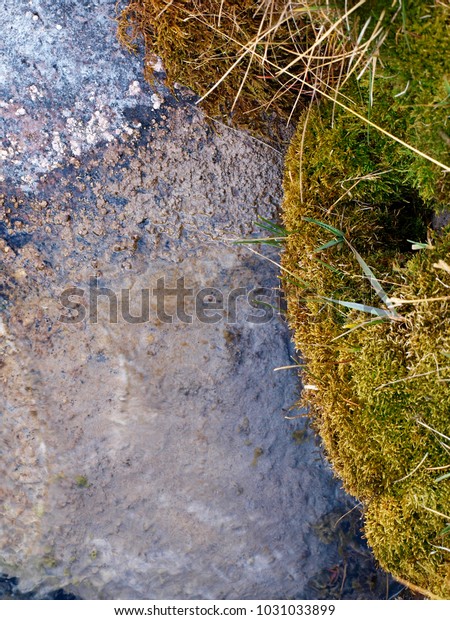 Culvert Grass Stock Photo 1031033899 | Shutterstock