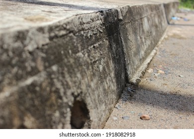 Fossil Corals Shells Red Sea Stock Photo 334334570 | Shutterstock